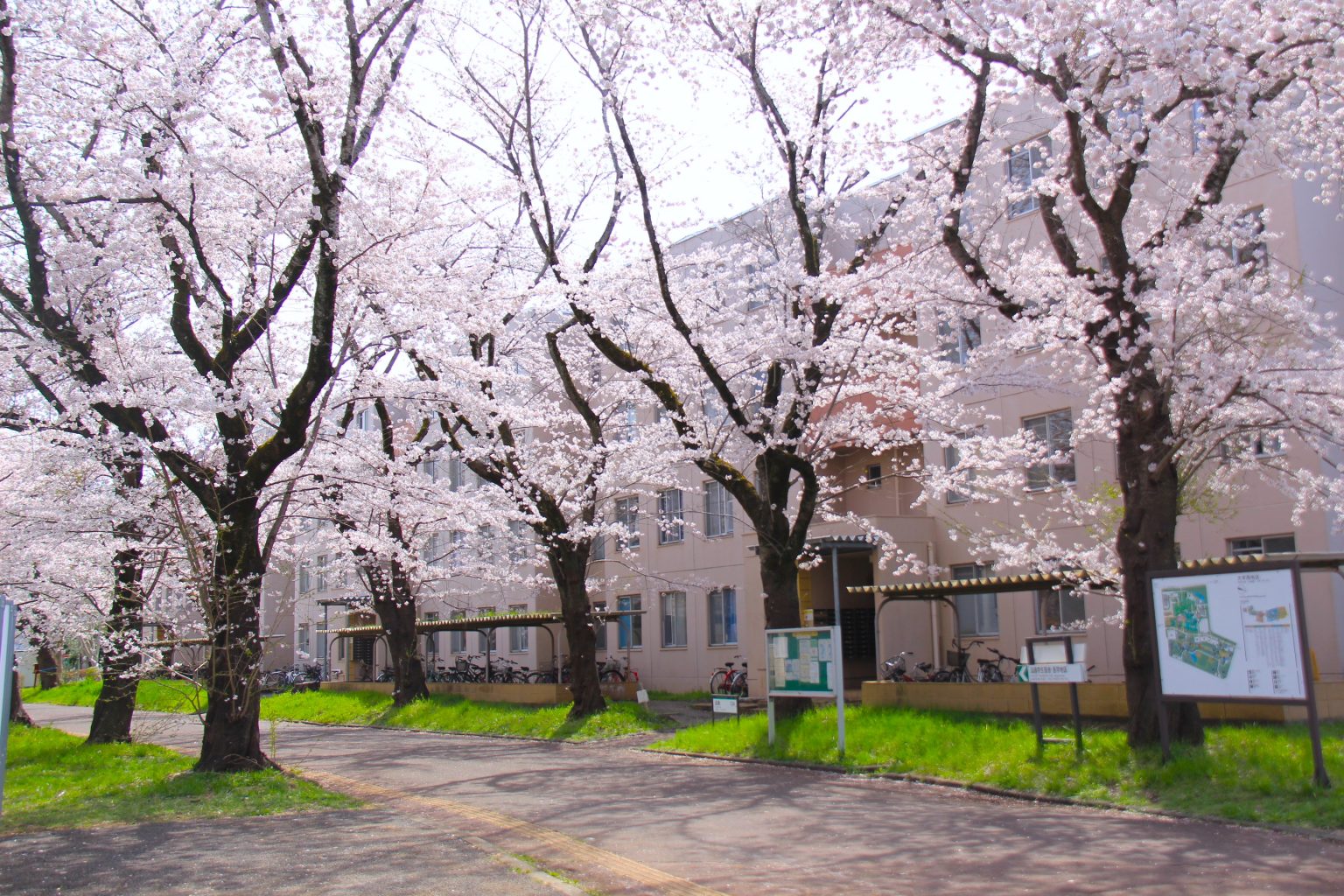 Why Tsukuba? | University of Tsukuba English Programs