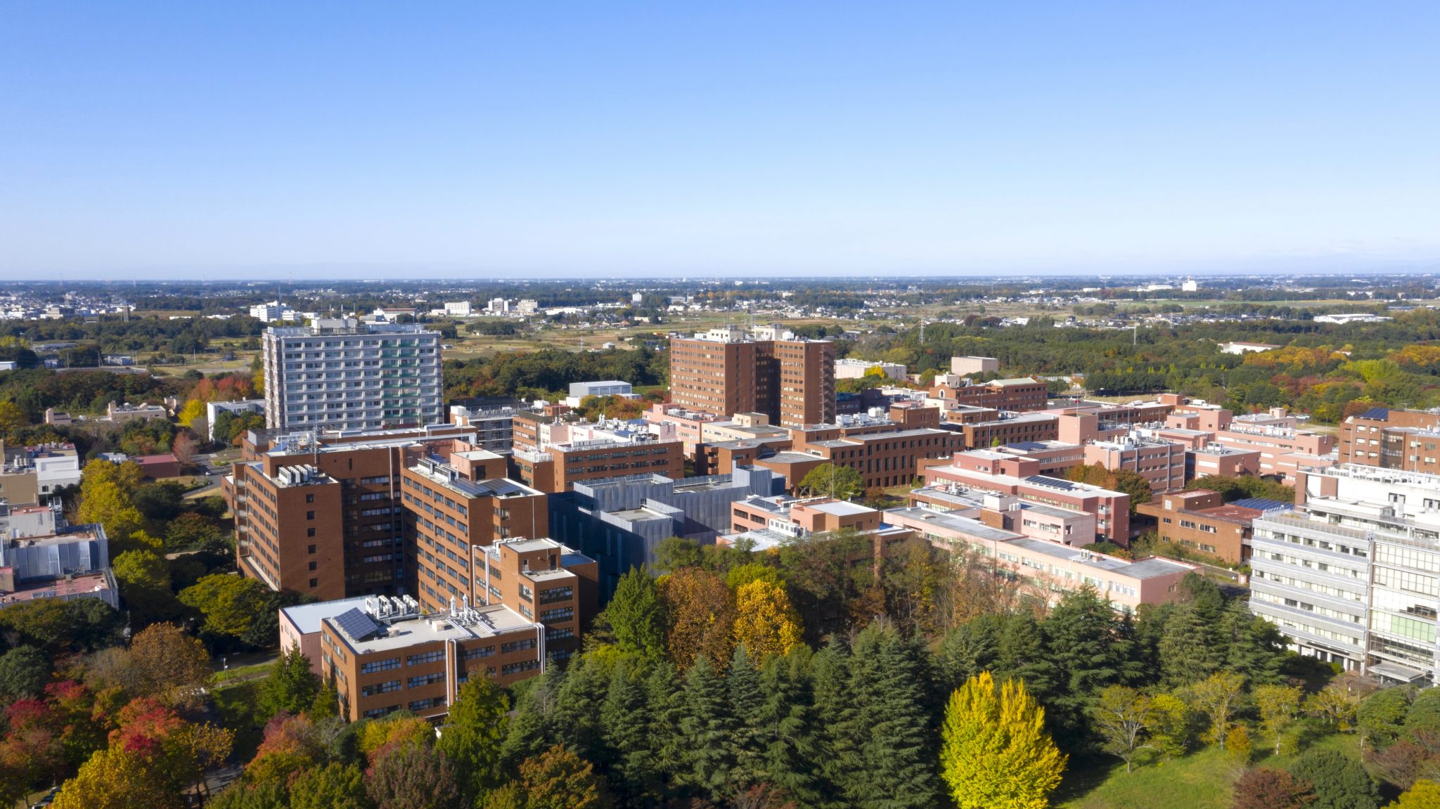 Why Tsukuba? | University of Tsukuba English Programs